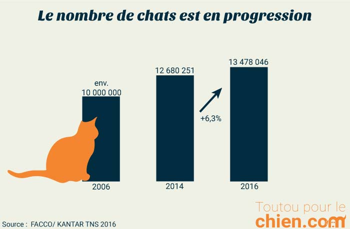 L’animal de compagnie préféré des français en 2016